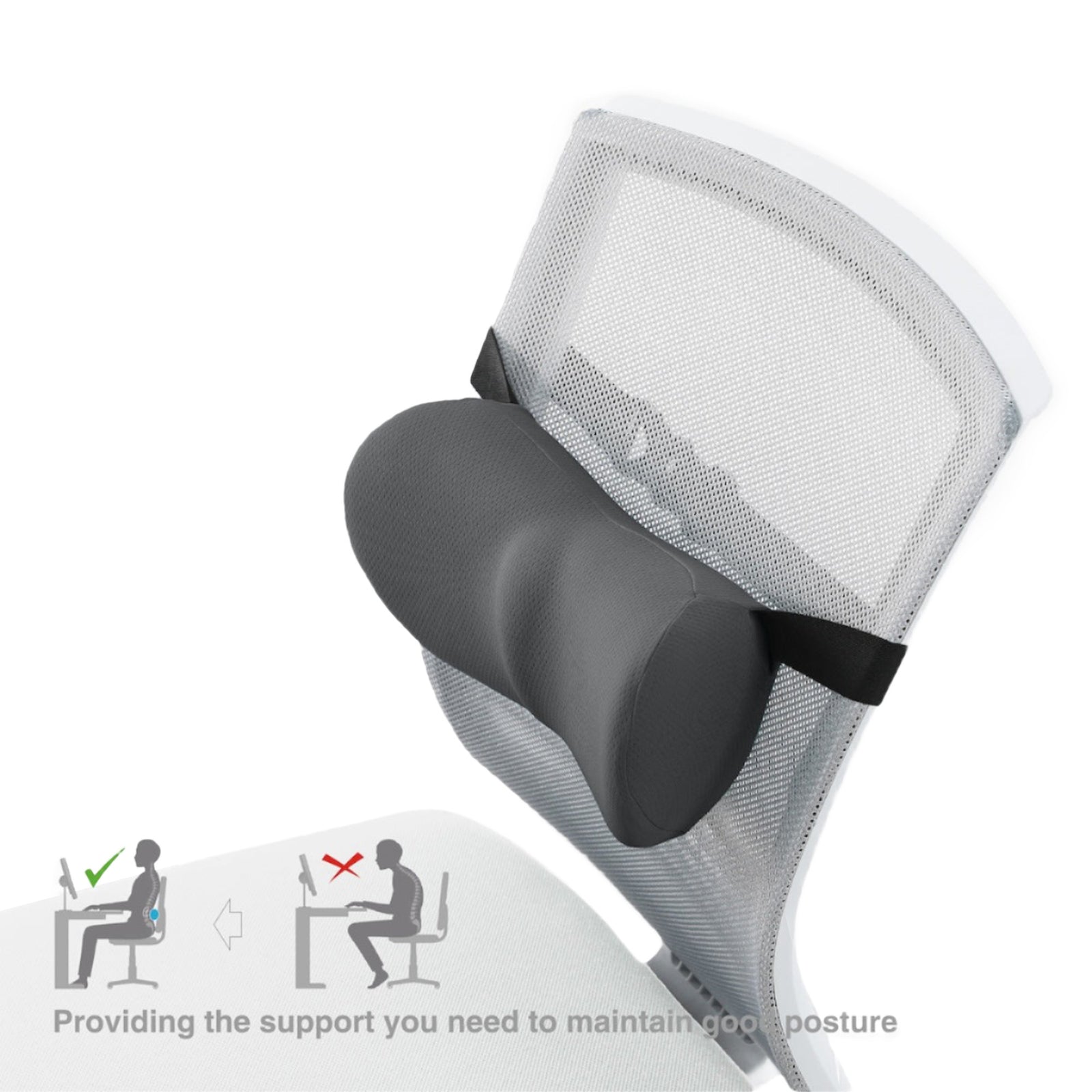 Lumbar Support Seat, Back Support Pillow & Seat Cushion | Ergoworks