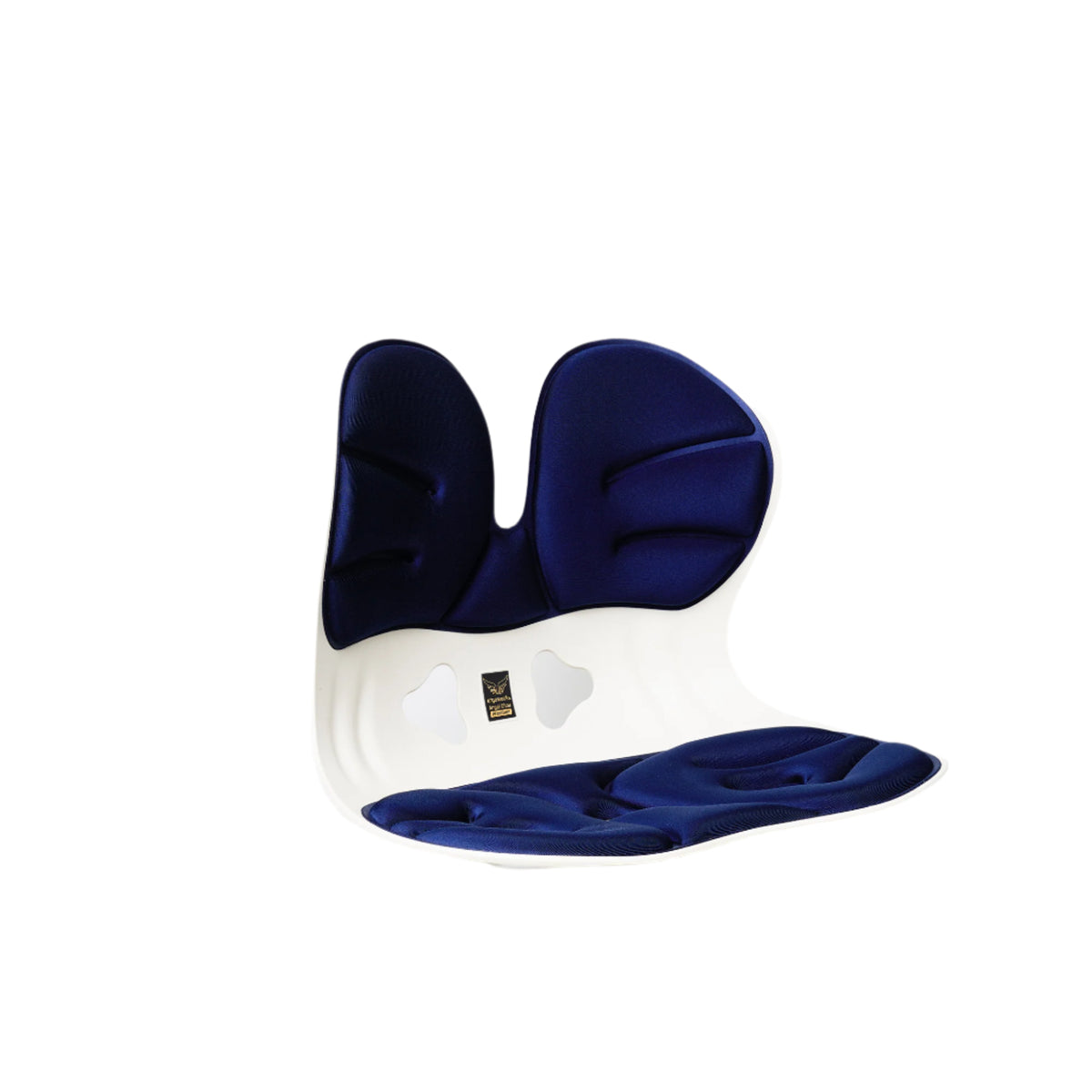 Posture Correction Angel Chair Seat Support