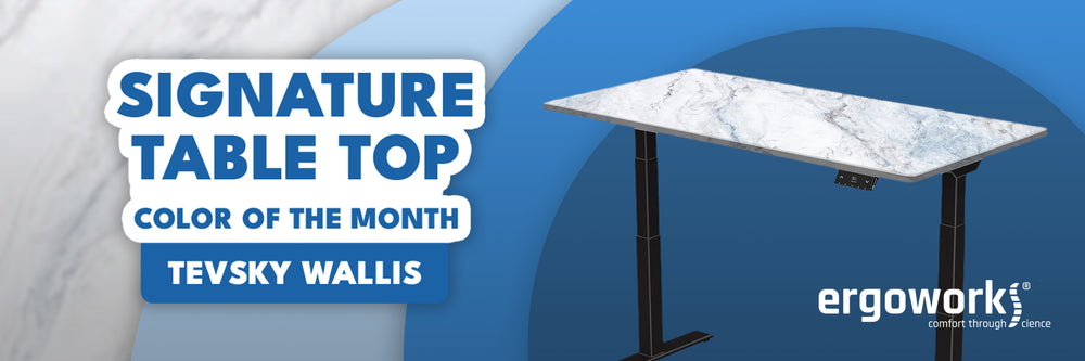 Ergonomic Office Furniture Store Singapore | Ergoworks