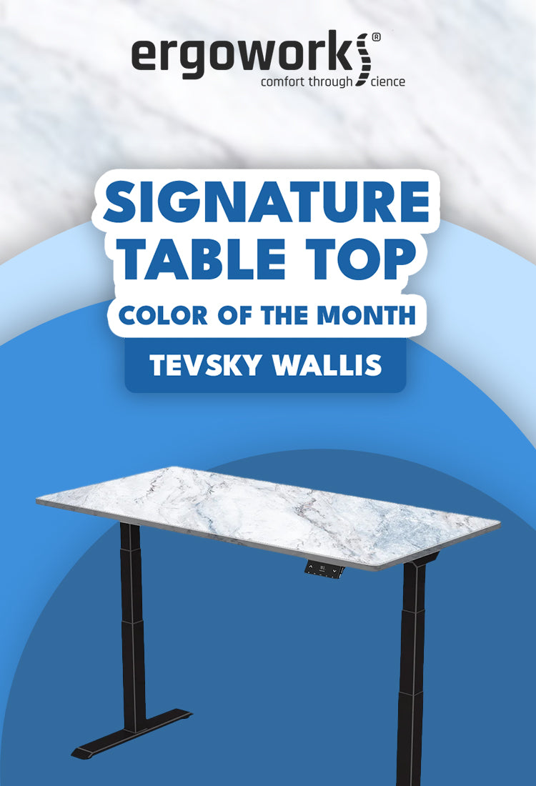 Ergonomic Office Furniture Store Singapore | Ergoworks