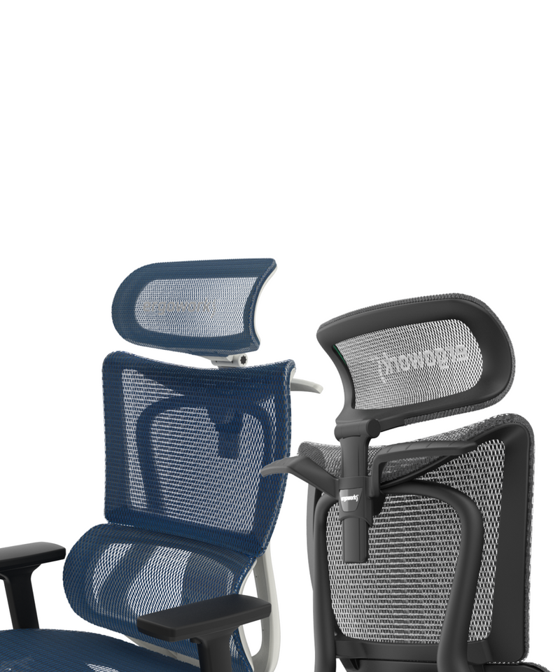 Ergonomic Mesh Office Chair and Computer Chair in Singapore | Ergoworks