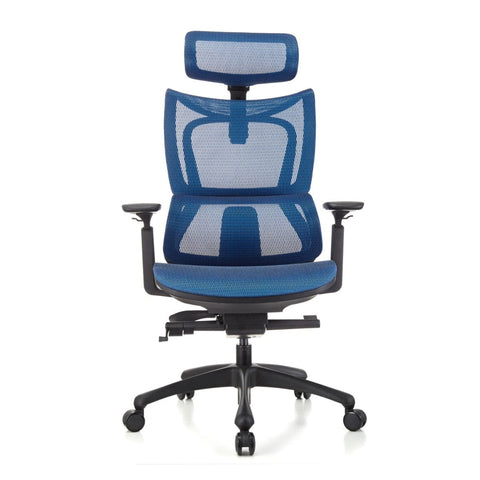ERGOWORKS – Truly Perfect Chair | Premium Ergonomic Chair, EW-G881