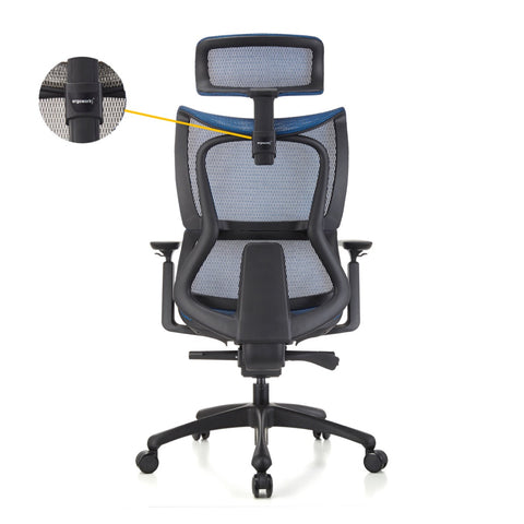 ERGOWORKS – Truly Perfect Chair | Premium Ergonomic Chair, EW-G881