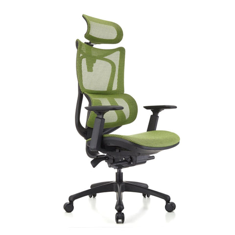 ERGOWORKS – Truly Perfect Chair | Premium Ergonomic Chair, EW-G881