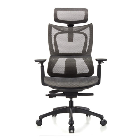 ERGOWORKS – Truly Perfect Chair | Premium Ergonomic Chair, EW-G881
