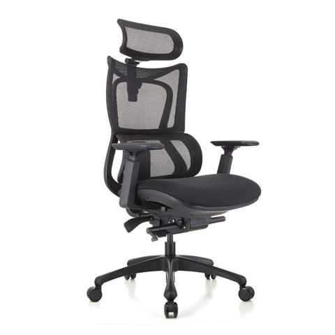 ERGOWORKS – Truly Perfect Chair | Premium Ergonomic Chair, EW-G881