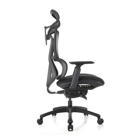 ERGOWORKS – Truly Perfect Chair | Premium Ergonomic Chair, EW-G881