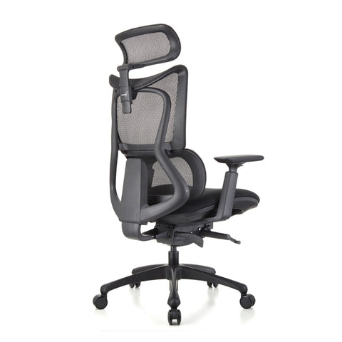 ERGOWORKS – Truly Perfect Chair | Premium Ergonomic Chair, EW-G881