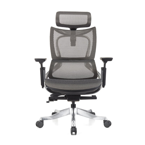 ERGOWORKS – Truly Perfect Chair | Premium Ergonomic Chair, EW-G881