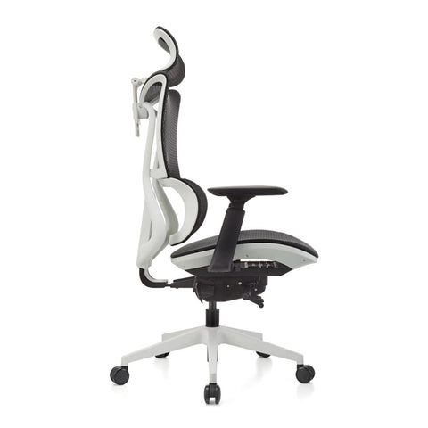 ERGOWORKS – Truly Perfect Chair | Premium Ergonomic Chair, EW-G881