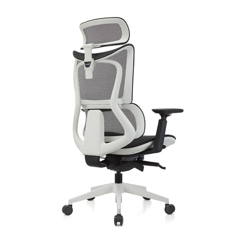 ERGOWORKS – Truly Perfect Chair | Premium Ergonomic Chair, EW-G881
